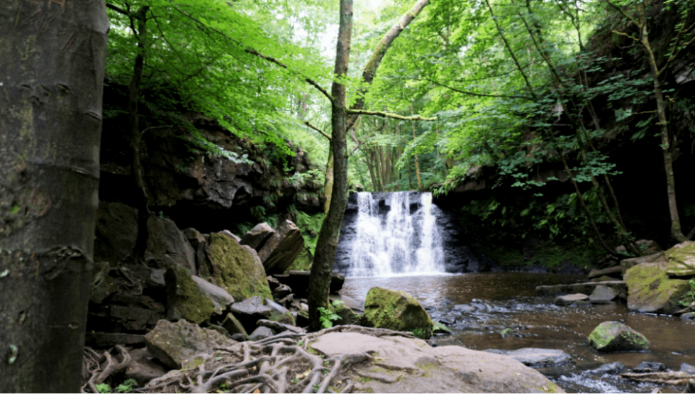 Cullingworth Mills | Your destination day out in the heart of rural ...